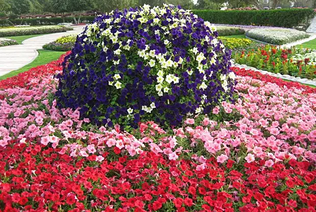 PARADISO GIARDINO DEI FIORI, EMIRATI ARABI UNITI