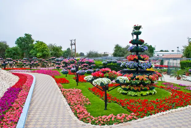 GRADINA PARADISA A FLORILOR, EAU