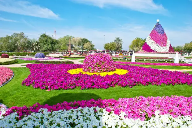 PARADISE GARDEN OF FLOWERS, สหรัฐอาหรับเอมิเรตส์