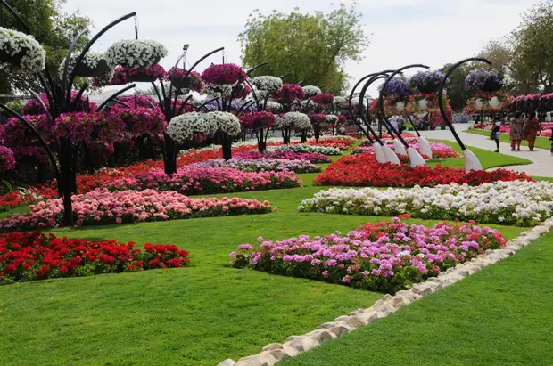 PARADISE GARDEN VUN Blummen, UAE