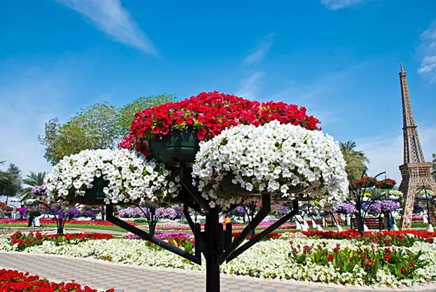 PARADISO GIARDINO DEI FIORI, EMIRATI ARABI UNITI