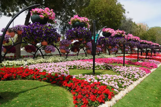 GRADINA PARADISA A FLORILOR, EAU