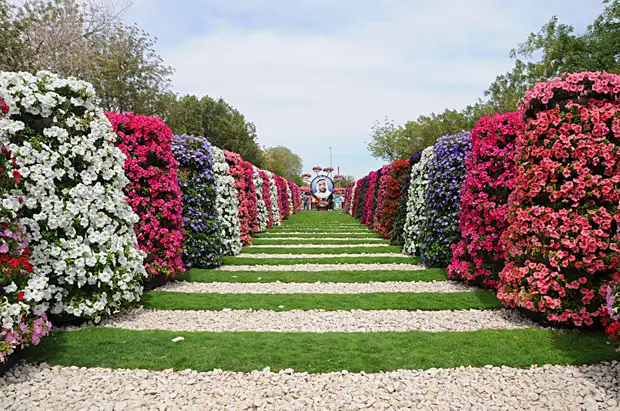 PARADISE GARDEN VUN Blummen, UAE