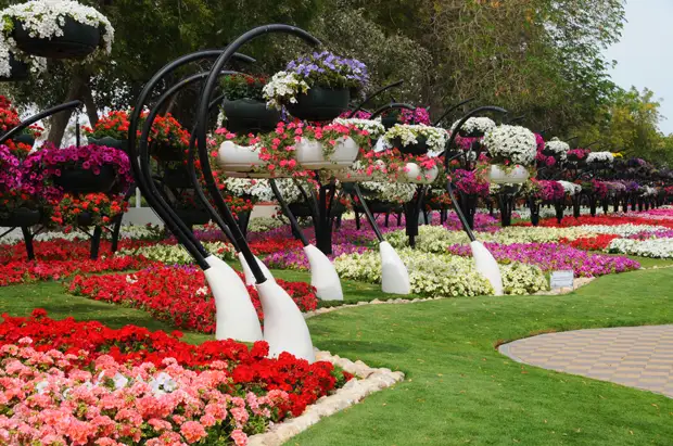 PARADISE GARDEN VUN Blummen, UAE