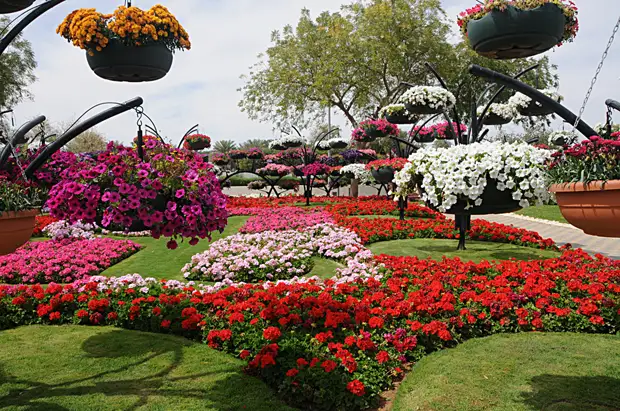 PARADISO GIARDINO DEI FIORI, EMIRATI ARABI UNITI