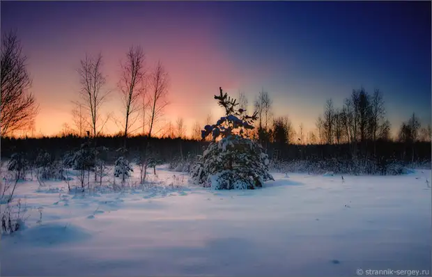 Жаңа жылдық карталар: Отбасыңызға және достарыңызға денсаулық