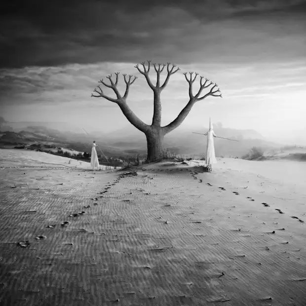 Dariusz Klimczak