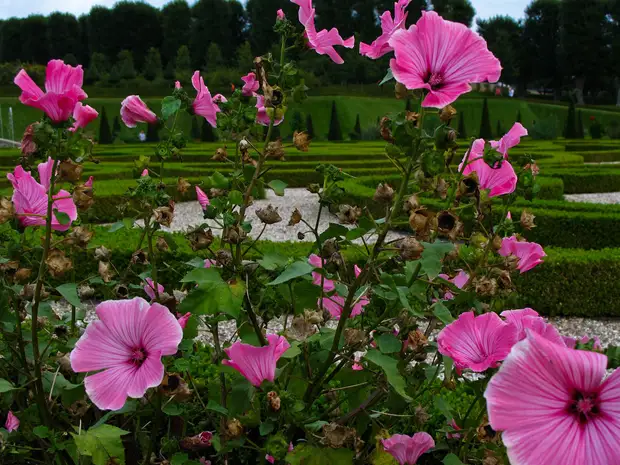 Chinyumba cha Frederiksborg. Denmark.