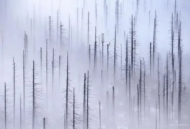 照片风景