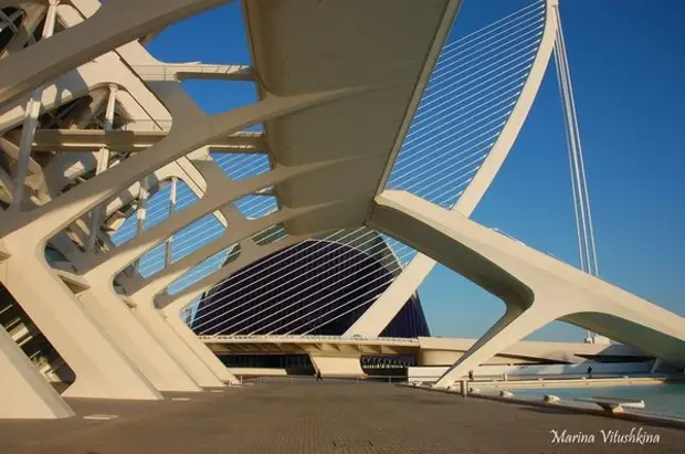 Cidade das Artes e Ciências de Valência.