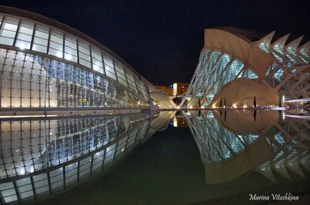 Cidade das Artes e Ciências de Valência.