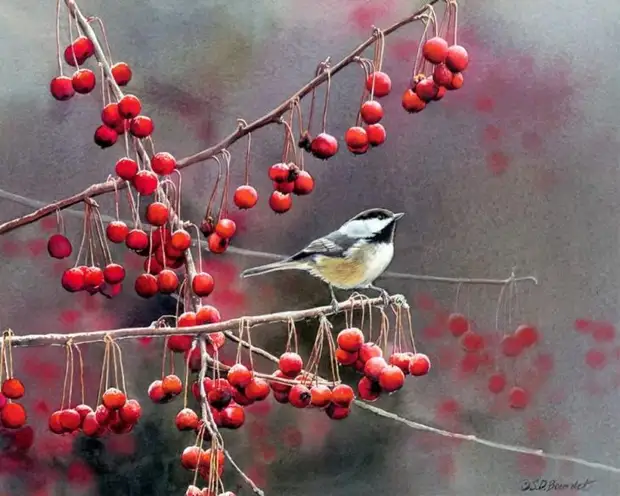 chickadees_and_berries_yapfiles-ru