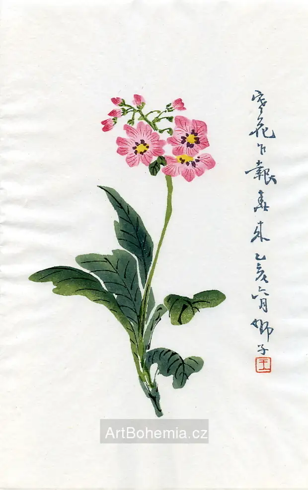 Qi Bai Shi rassomi va guoxua rasmlari