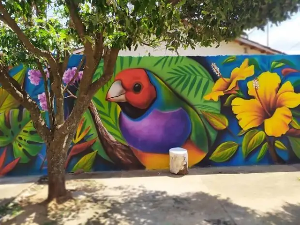 Ongewone straatportrette van 'n Brasiliaanse kunstenaar